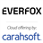 EverShield Insider Risk Case Manager